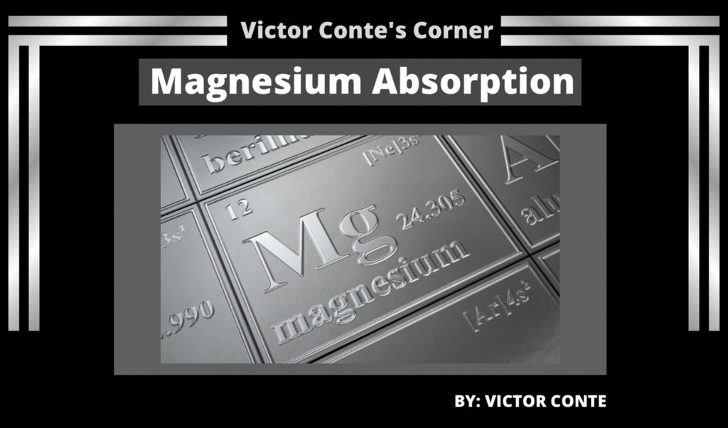 Magnesium Absorption – SNAC Nutrition